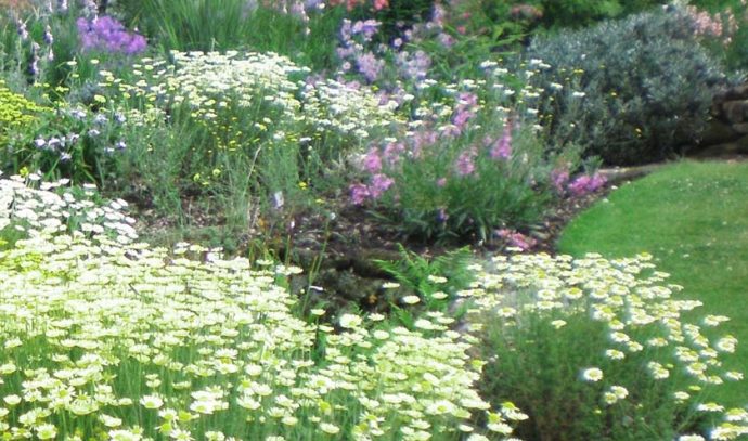 How to Add a Fertilizer Dispenser to Your Sprinkler System